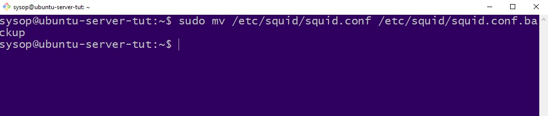 How To Install And Remotely Access Squid Proxy On Ubuntu 2204 Format Swap Tech Tutorials