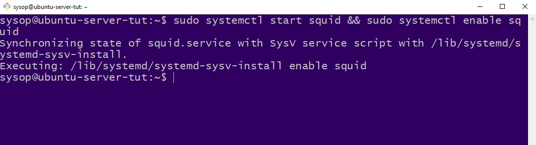 How To Install And Remotely Access Squid Proxy On Ubuntu 2204 Format Swap Tech Tutorials